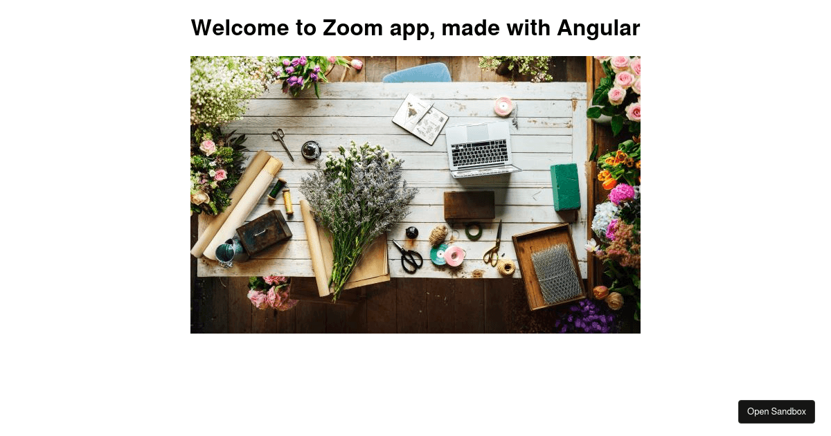 Angular image zoom (forked) - Codesandbox