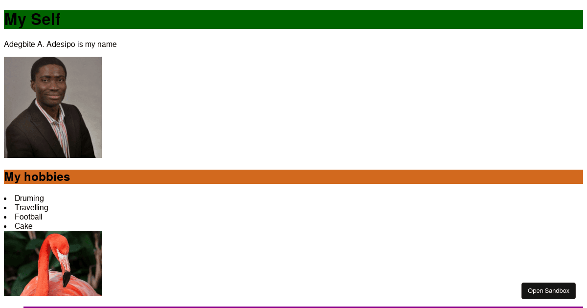 Lesson 4: HTML Blog (forked) - Codesandbox