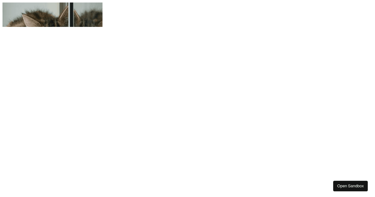 Vanilla Template Codesandbox