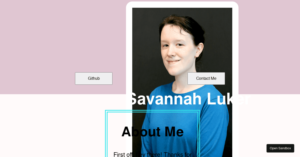 my-website-bio - Codesandbox