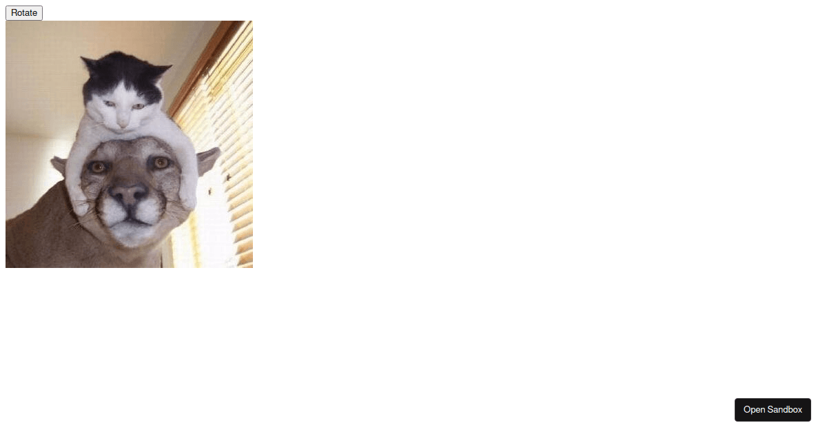 React Konva - Zoom, Rotate, Points - Codesandbox