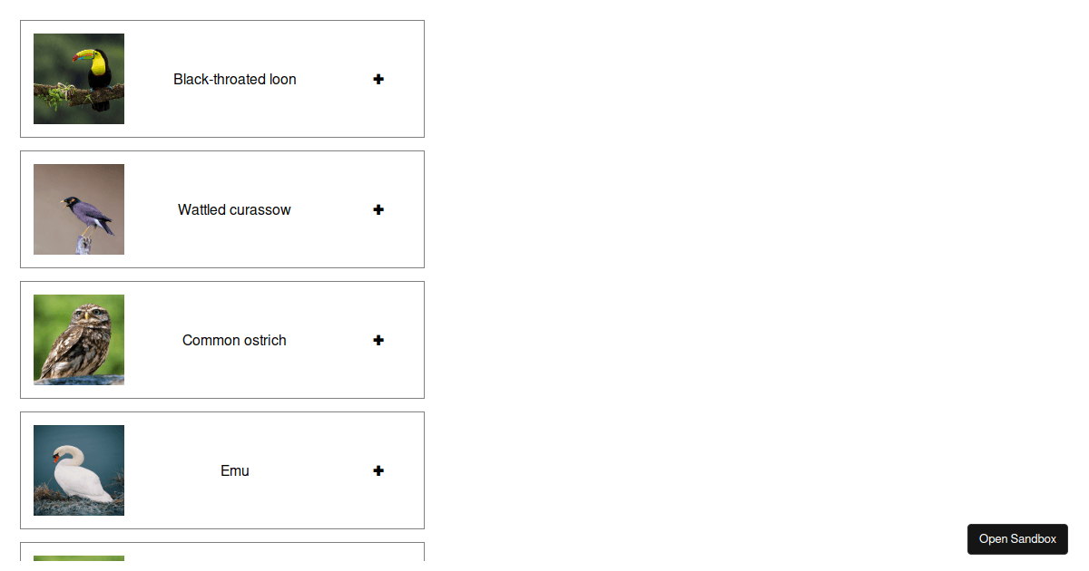 birds-library - Codesandbox
