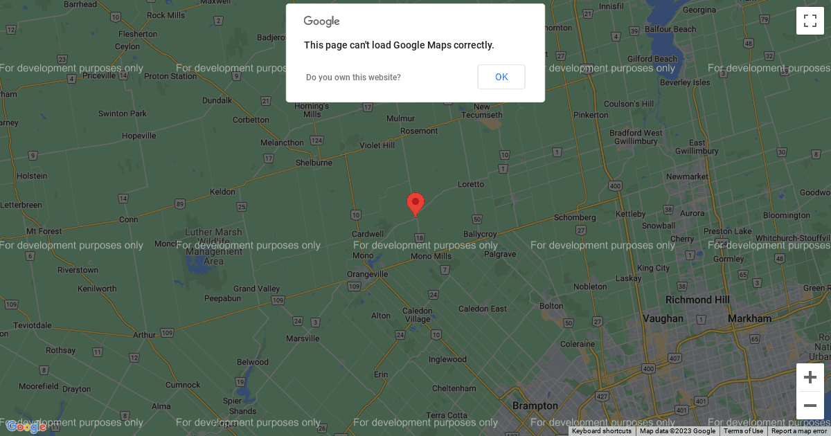 google-maps-intro - Codesandbox