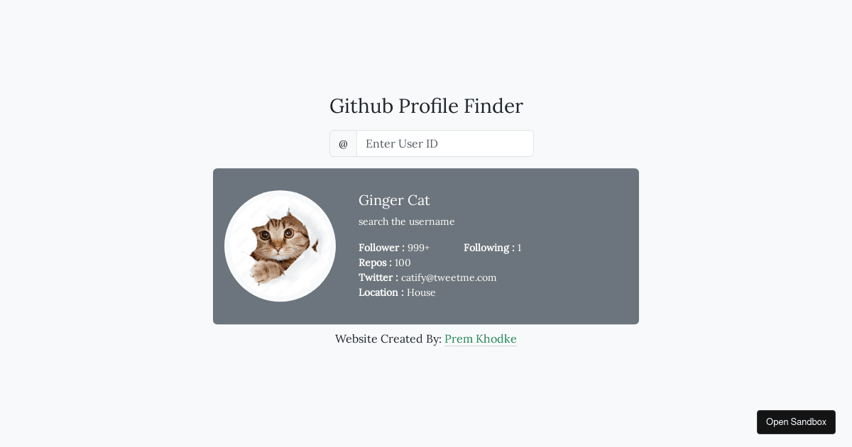 github-profile-finder - Codesandbox