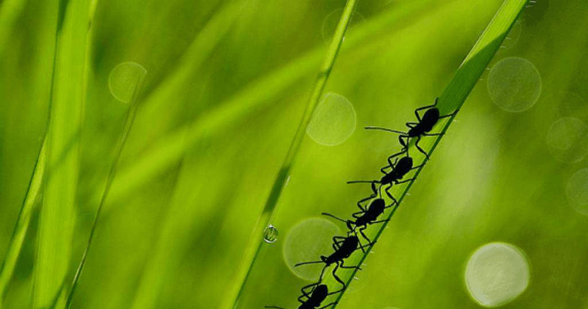 swiper-effect-coverflow-react - Codesandbox