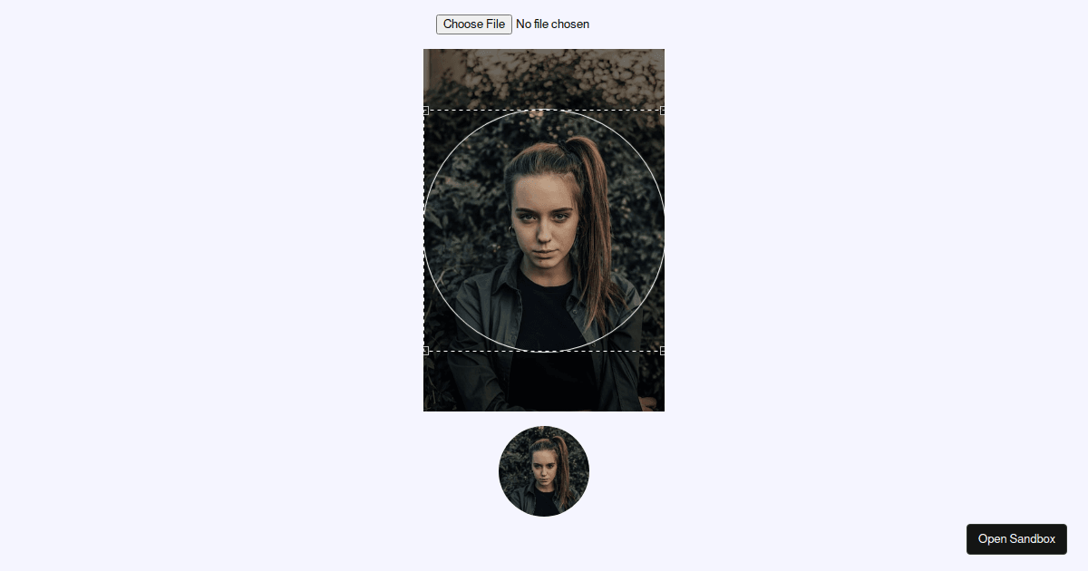 react-image-crop demo with React Hooks 2 - Codesandbox react-image-crop demo with React Hooks 2 - Codesandbox