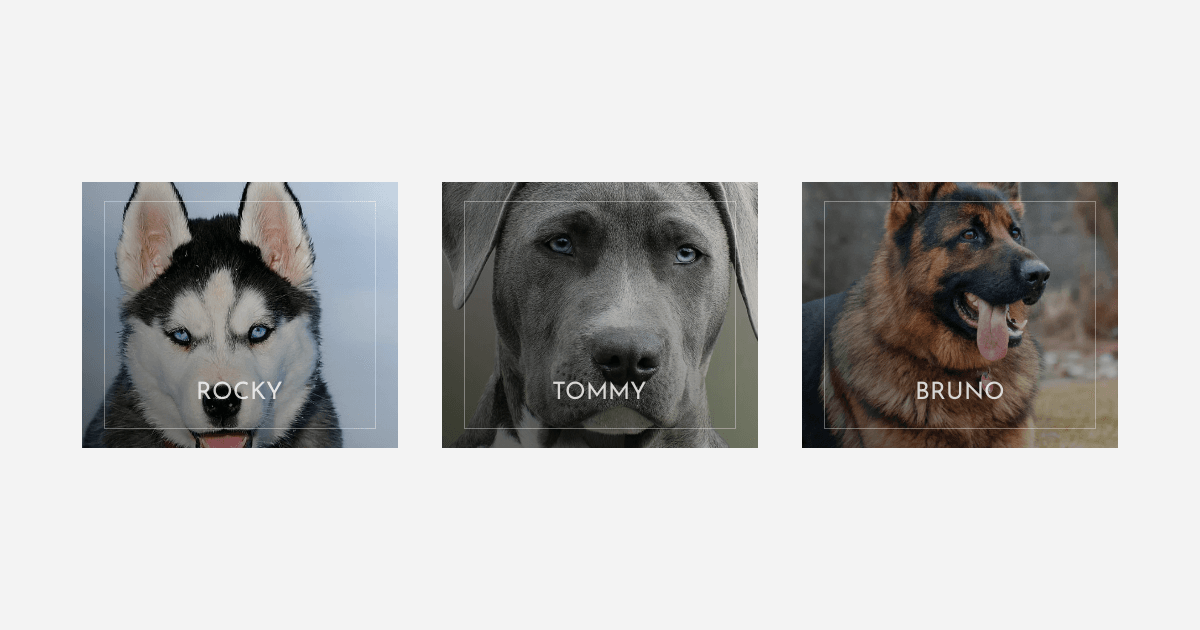 Flip Card - Codesandbox