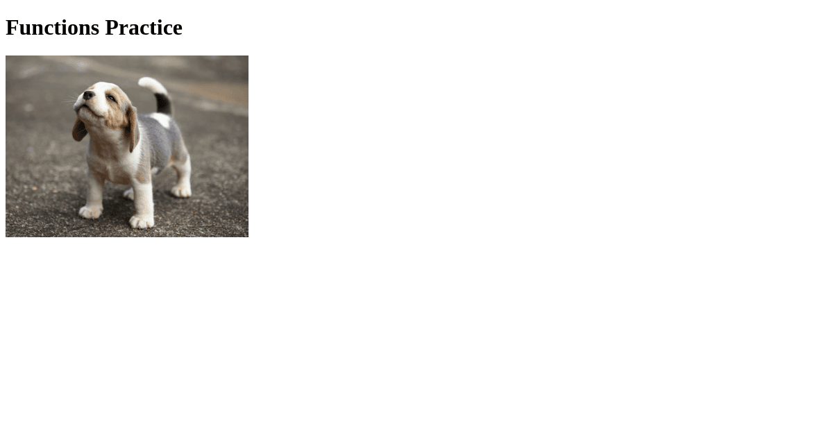 LL4-Function Practice STARTER - Codesandbox