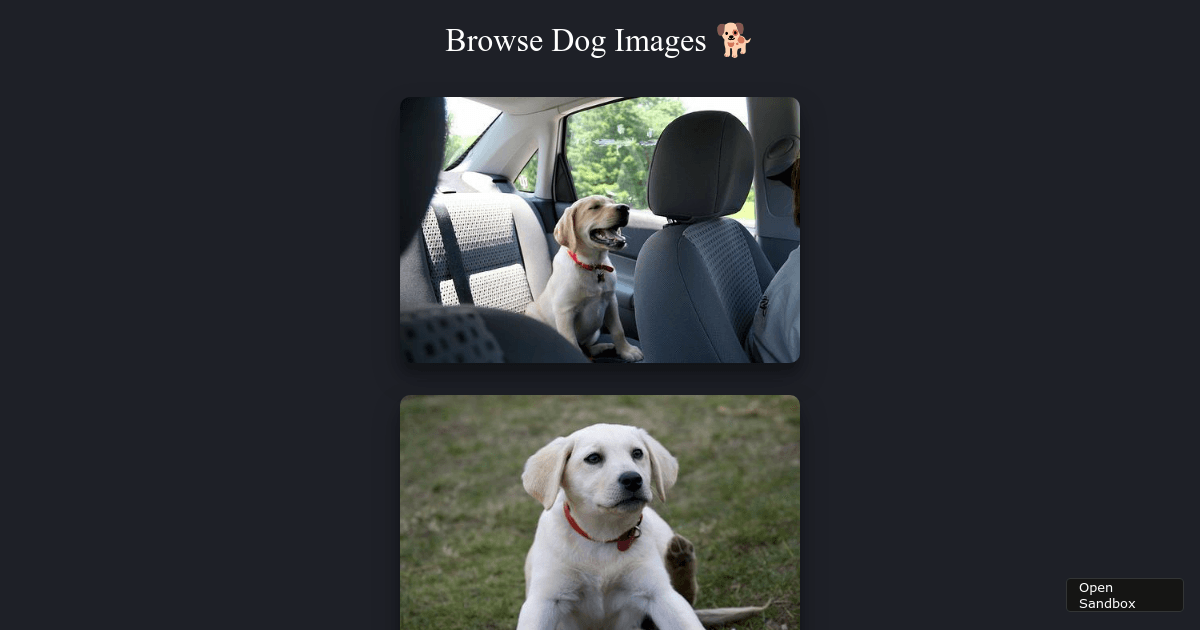 hoc-pattern-1 (forked) - Codesandbox