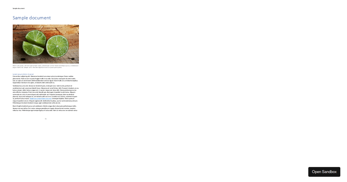 react-pdf-react-pageflip - Codesandbox