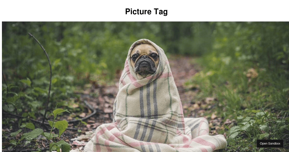 Image Vs Picture Tag - Codesandbox