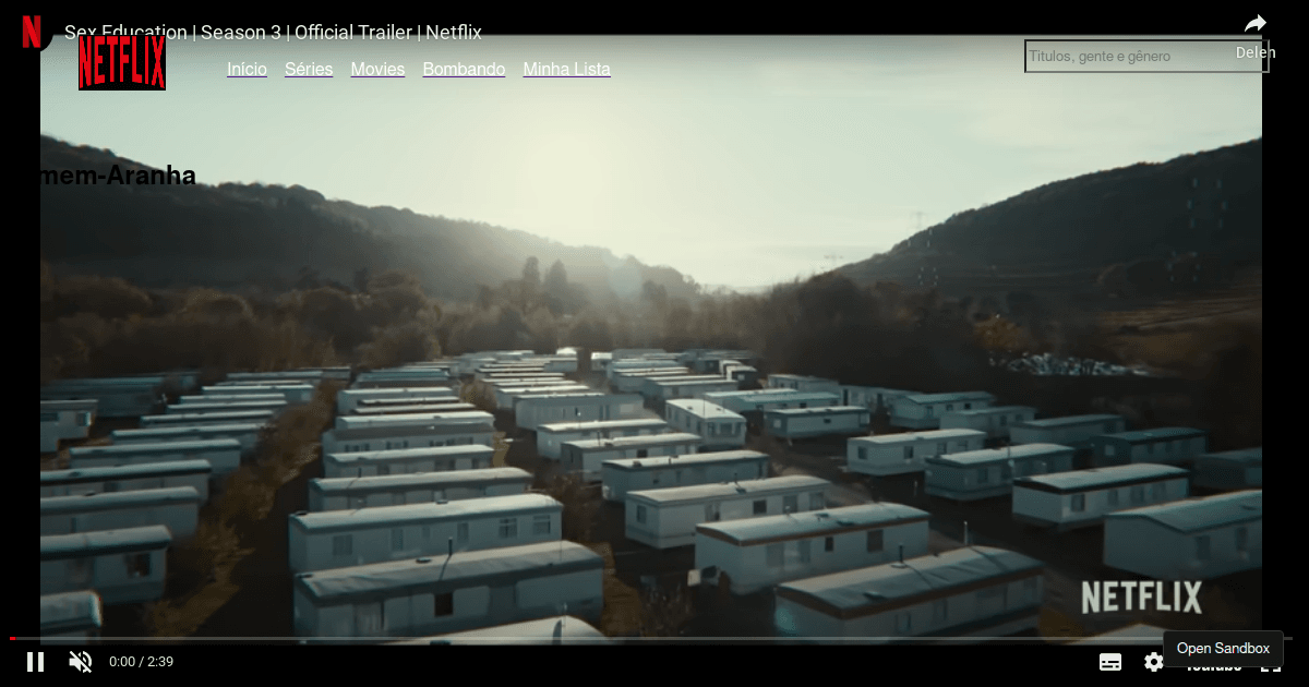 Anexo Netflix-Project - Codesandbox