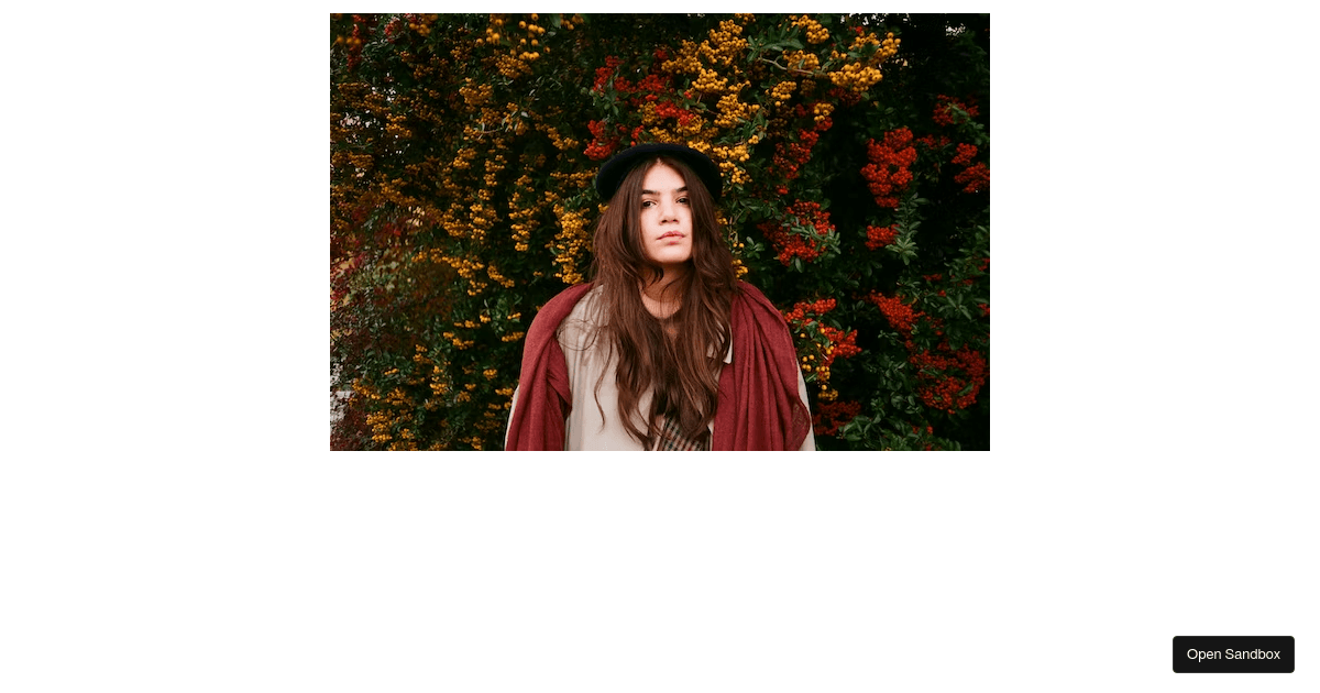 slideshow default - Codesandbox