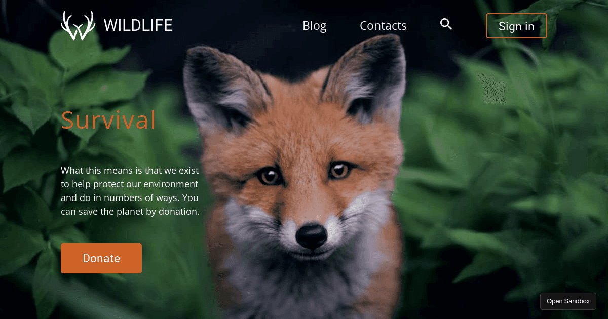 wildlife - Codesandbox