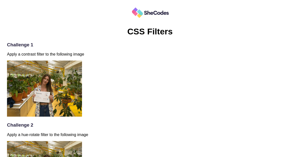 CSS Filters / Challenge - Codesandbox