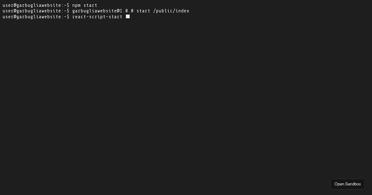 terminal-garbugliawebsite - Codesandbox