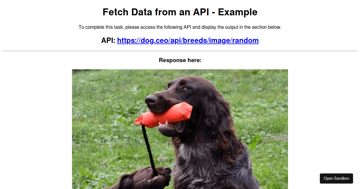 Fetch From Api Front End Interview Task Codesandbox