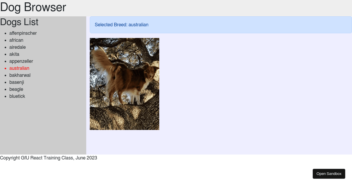 dog-app-v1 - Codesandbox