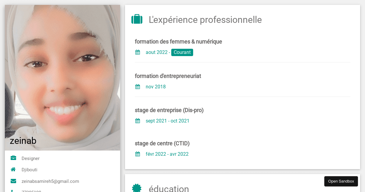 cv-zeinab - Codesandbox