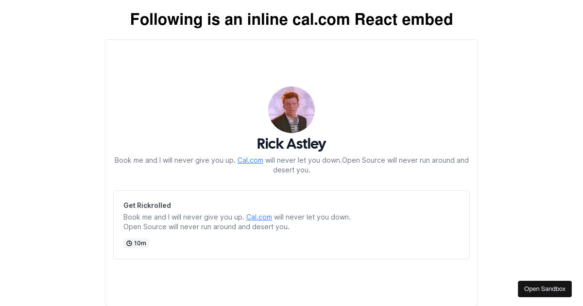 Booker metadata (Cal Component - Embed Inline Demo[React]) - Codesandbox