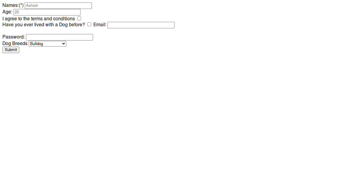 html-forms - Codesandbox