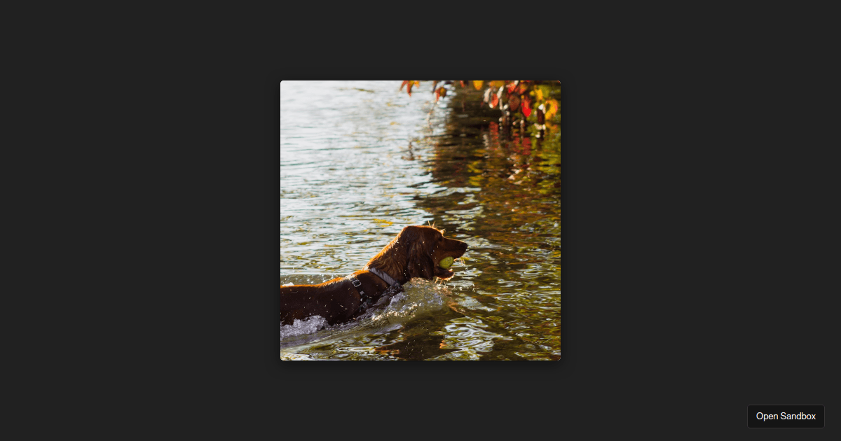 web-dev-ref: CSS image hover effect - Codesandbox