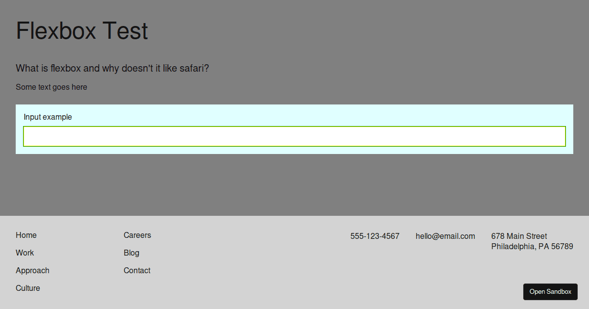 input-autofill-test - Codesandbox