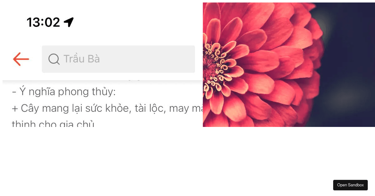 bold-clarke - Codesandbox