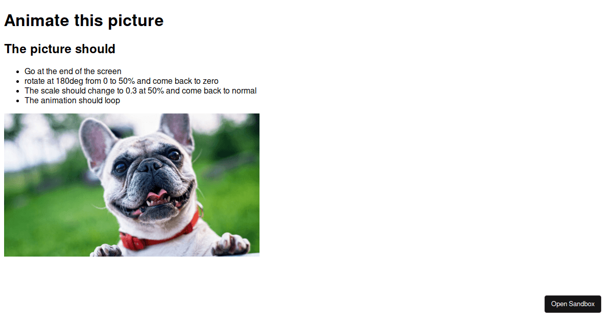 css-animation-ex - Codesandbox