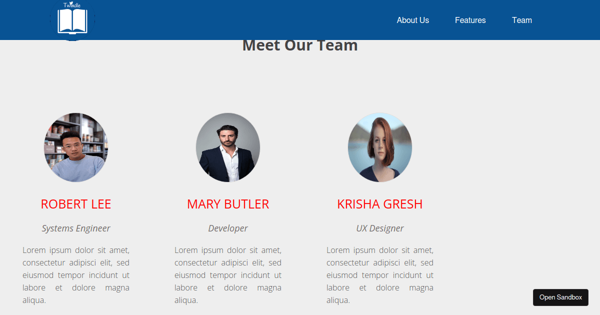 Meet Our Team - Codesandbox