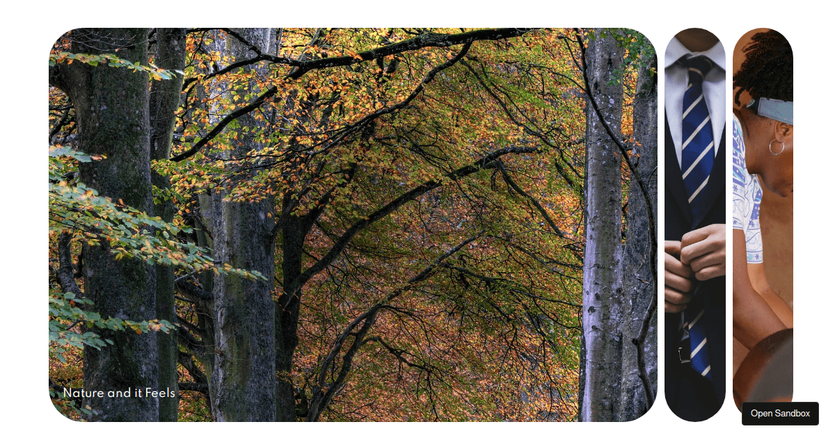 slider-animation - Codesandbox