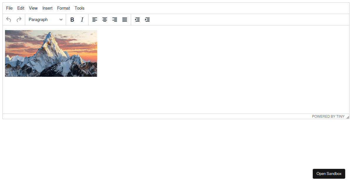 @tinymce/react - Codesandbox