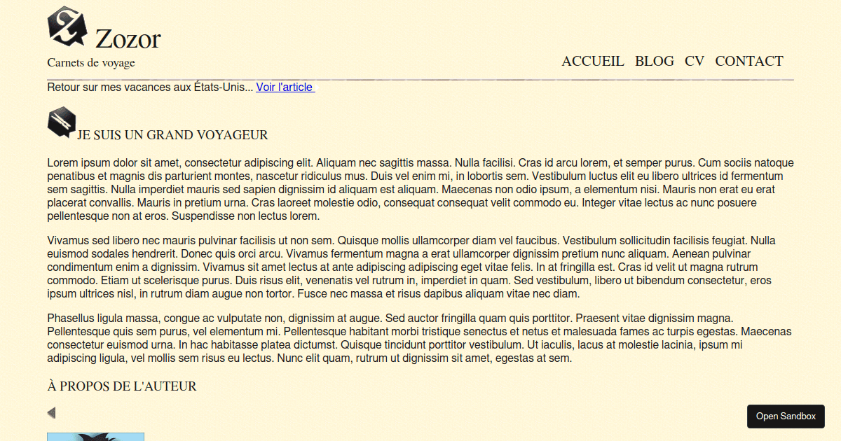 site zozor - Codesandbox