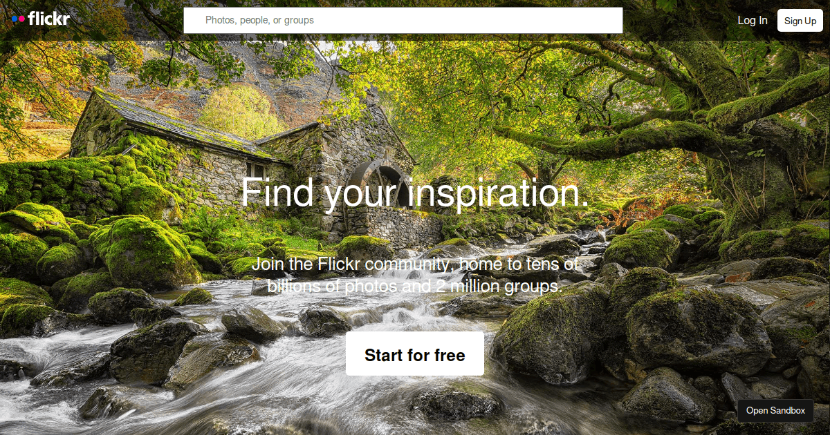 flickr clone - Codesandbox