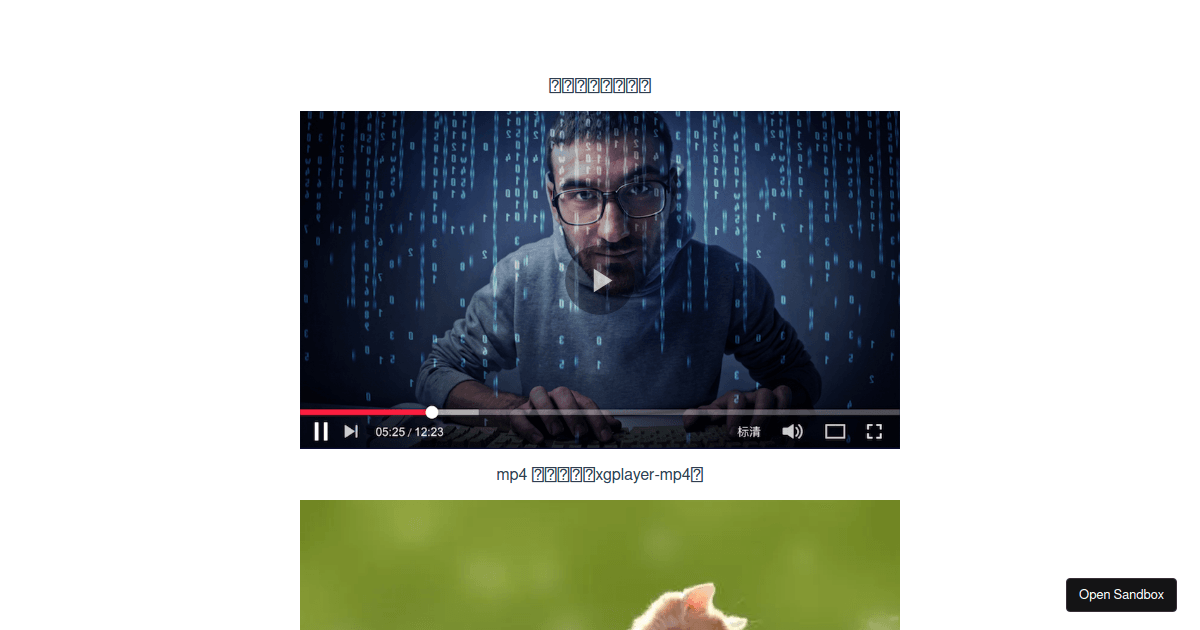 西瓜视频案例 - Codesandbox