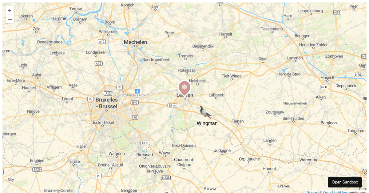 pigeon-map - Codesandbox