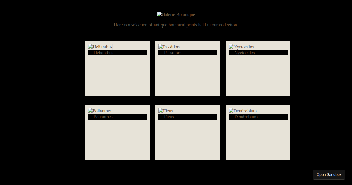 image-gallery-boilerplate - Codesandbox