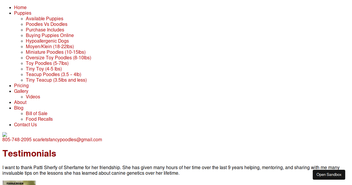 Puppy website makeover - Codesandbox