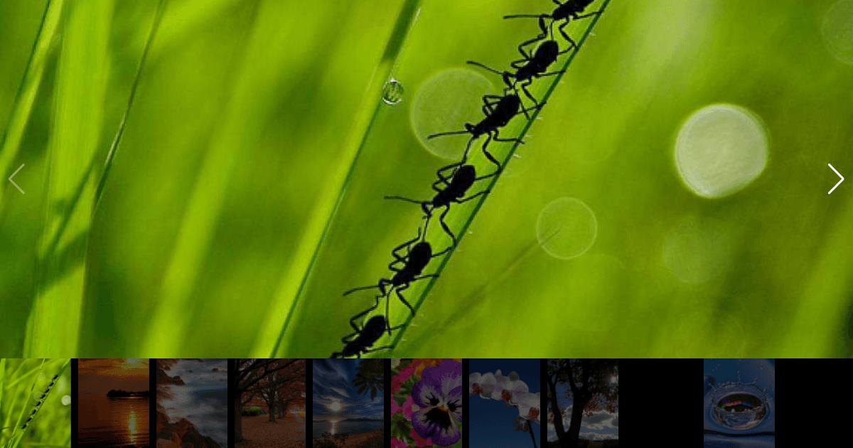 swiper gallery with thumbs bug with virtual and virtualIndex - Codesandbox