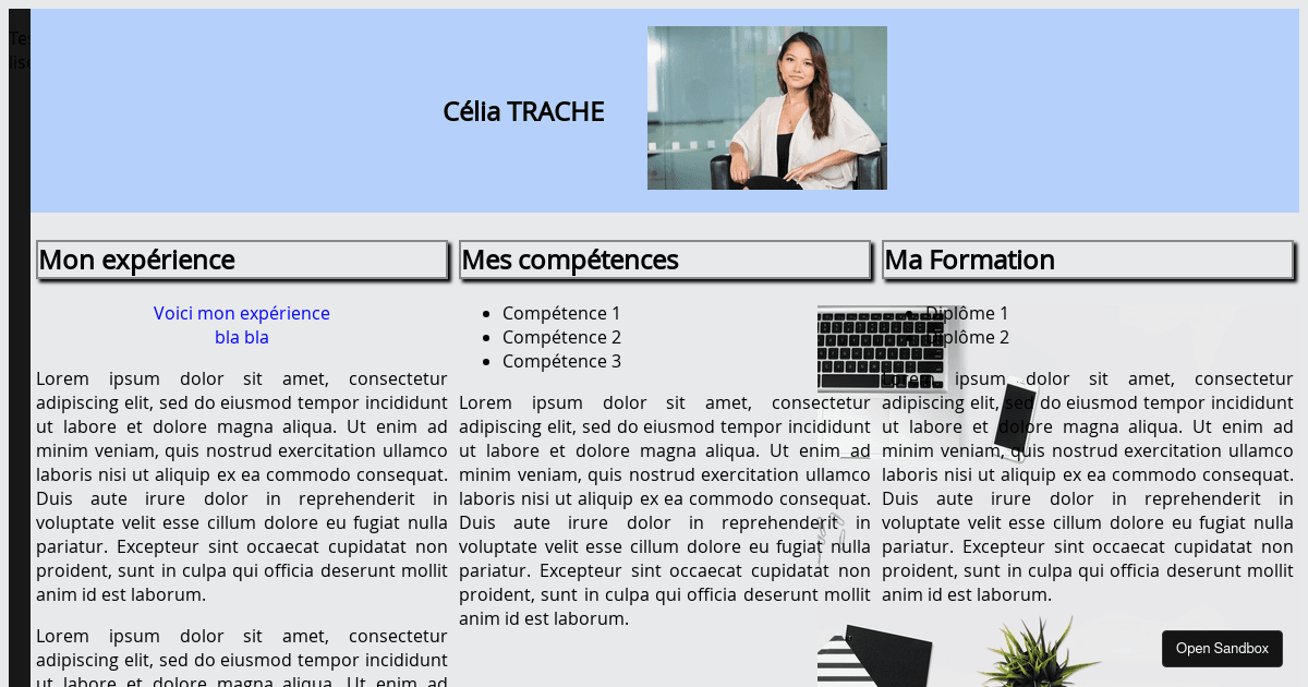CV_test - Codesandbox