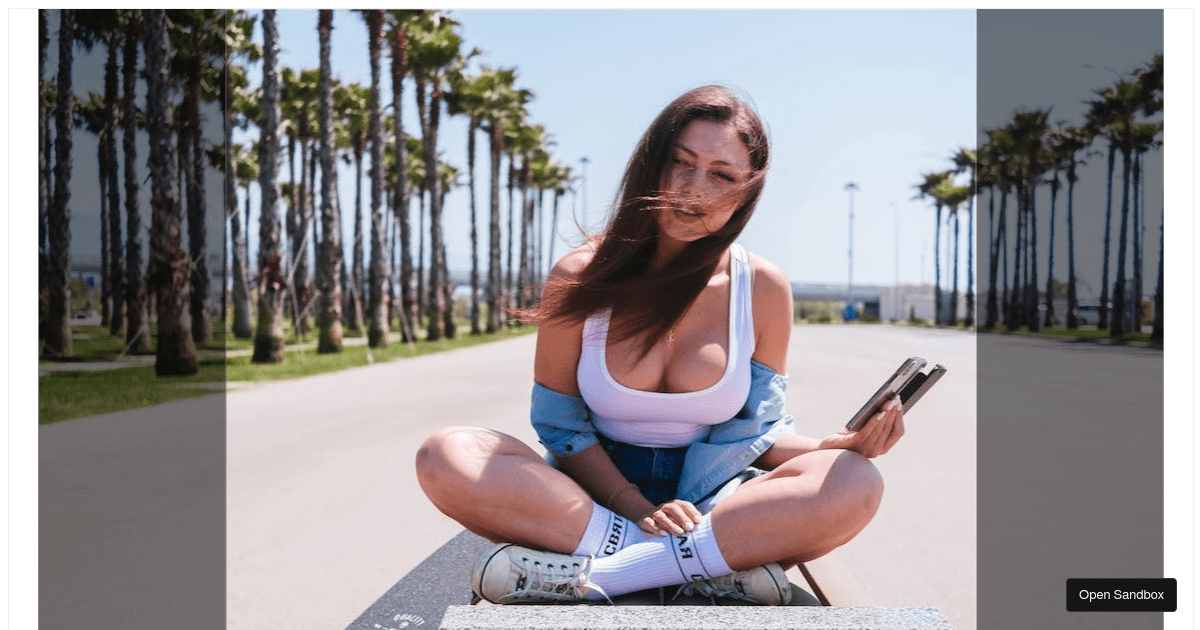 Vue Avanced Cropper (16/9) - Codesandbox