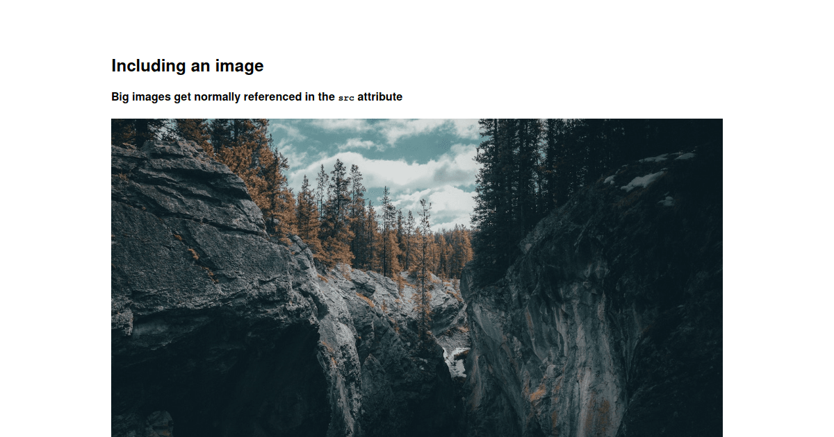 next-optimized-images-example - Codesandbox