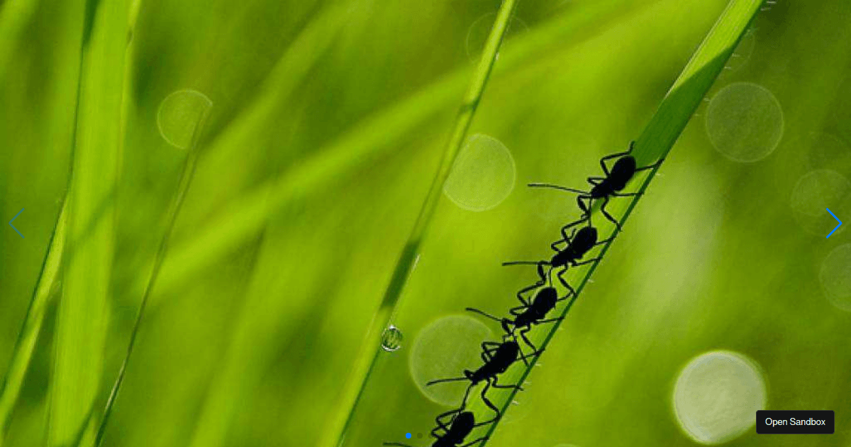 Swiper - Effect fade - Codesandbox