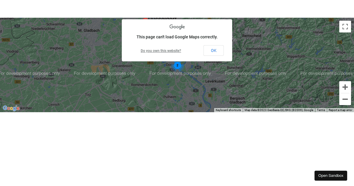 Vue 3 Google maps (forked) - Codesandbox