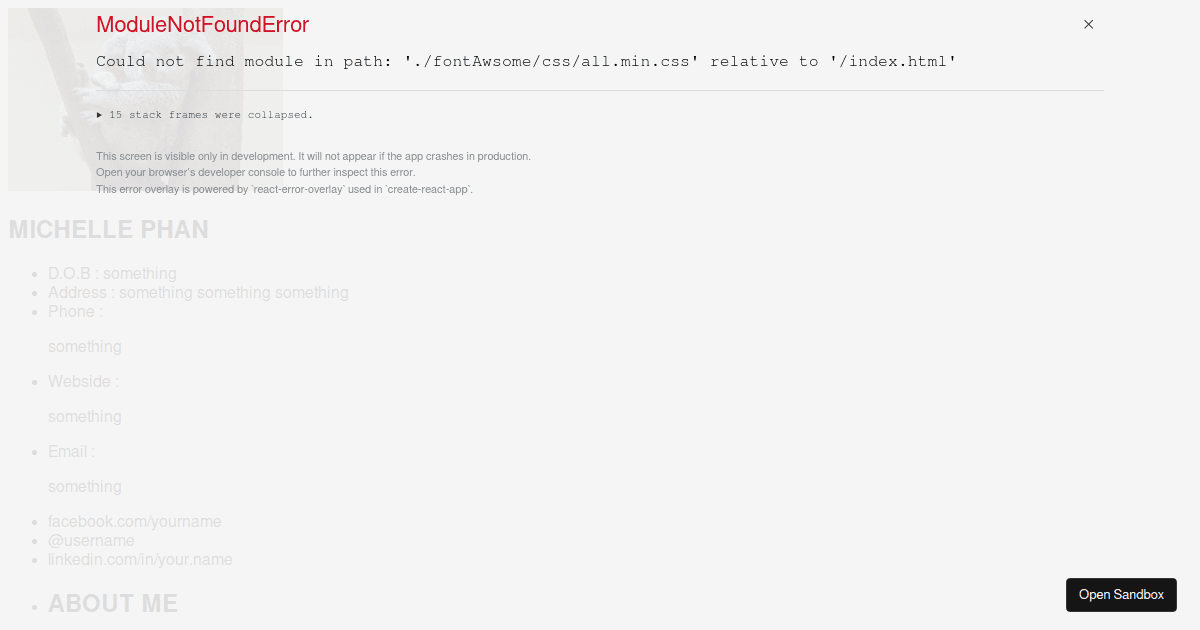 Cv Codesandbox 9729