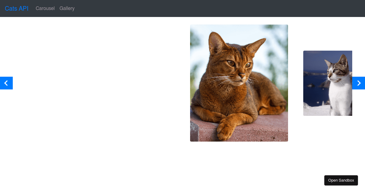 cats_api - Codesandbox