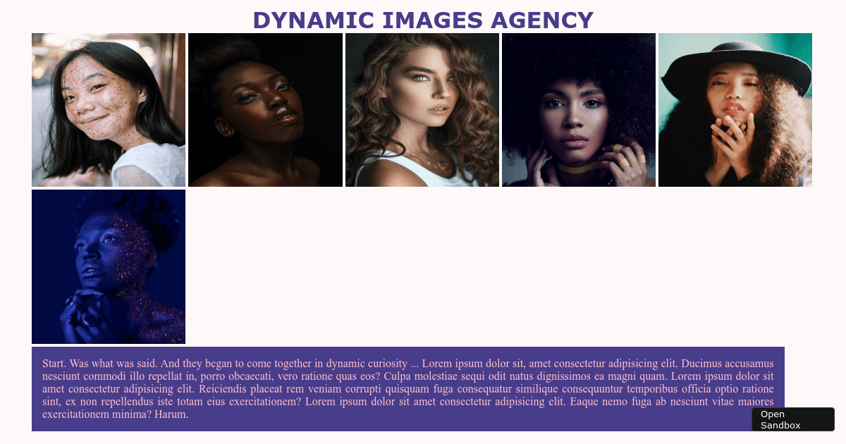 dynamic-images-agency - Codesandbox