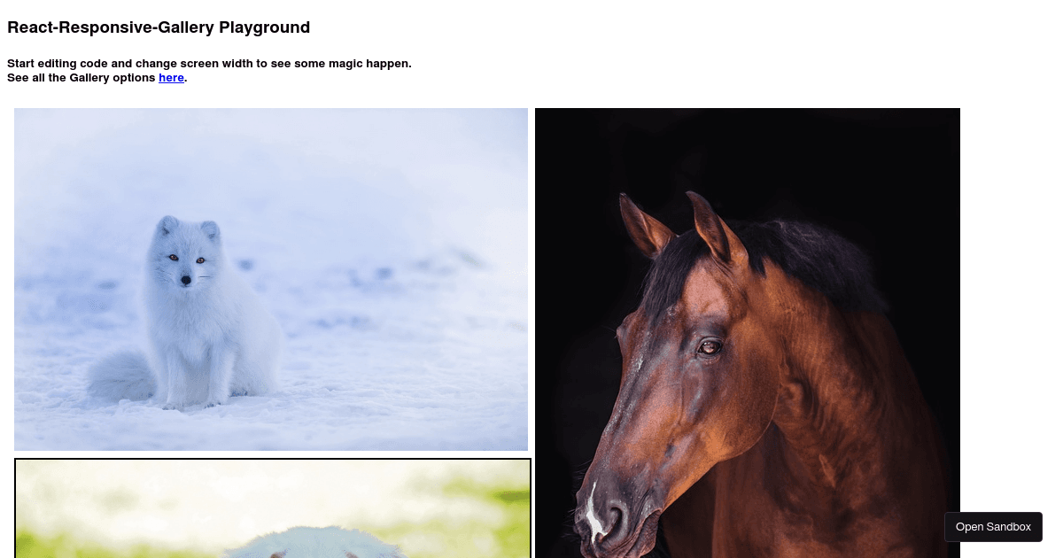 react-responsive-gallery - V4 - Codesandbox