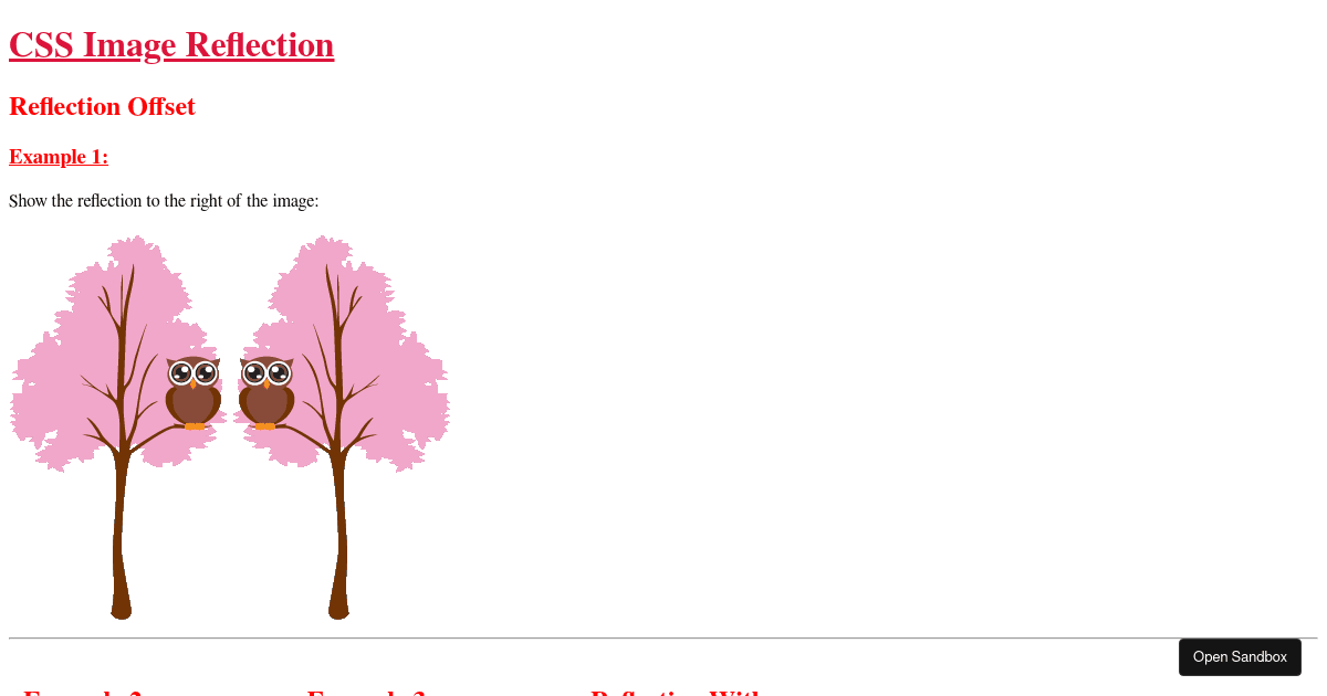 CSS Image Reflection - Codesandbox