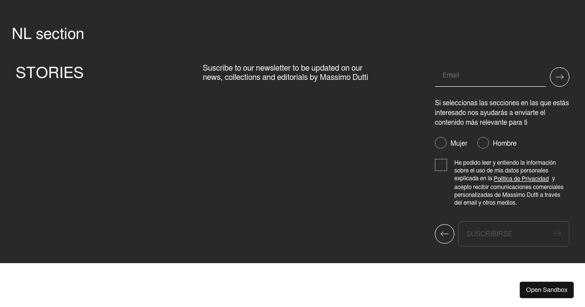 NL section - Codesandbox